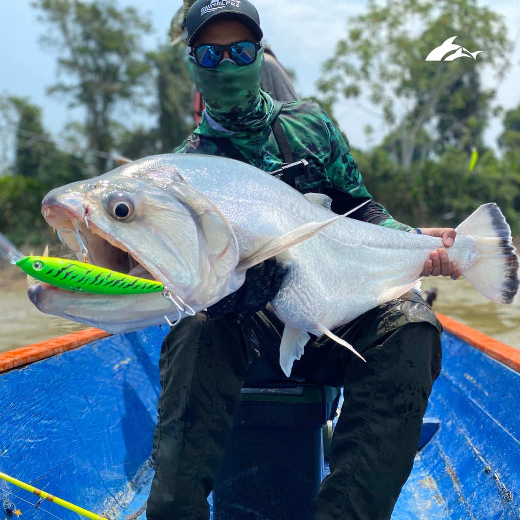 Implementos De Pesca – Animalpez Colombia
